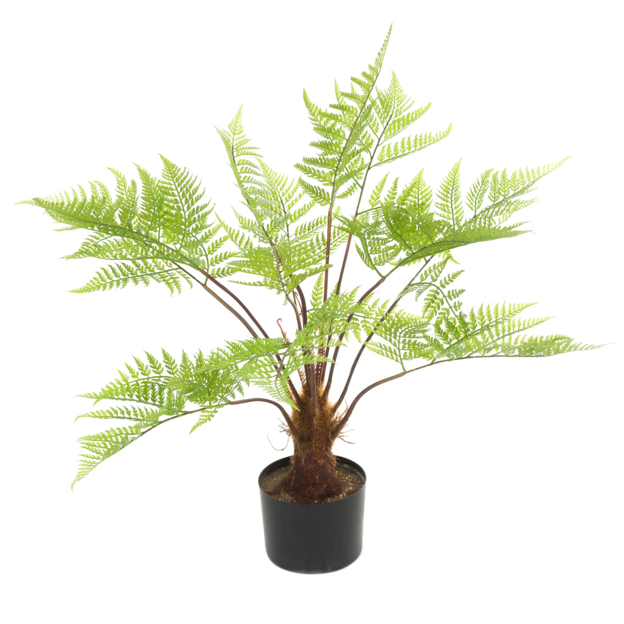 Medium Tree Fern in Pot | Artificial Indoor Plants | Outdoor.ie